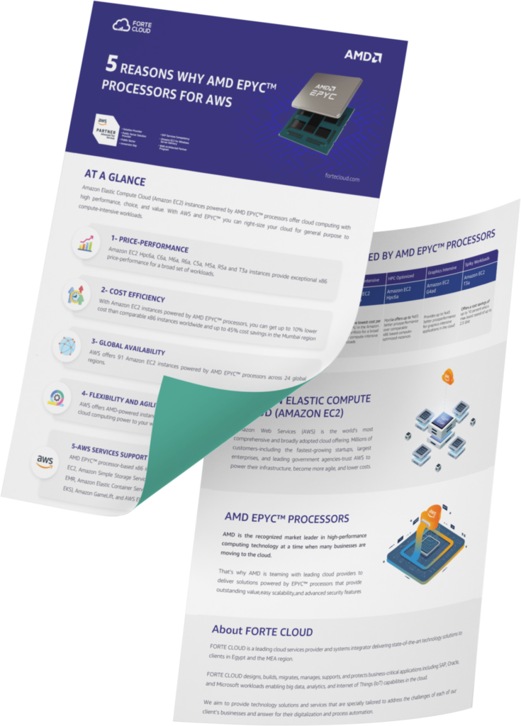 Why AMD for AWS - FORTE CLOUD